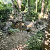 Henderson Park Loop, Georgia - 1,839 Reviews, Map | AllTrails