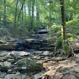 Henderson Park Loop, Georgia - 1,839 Reviews, Map | AllTrails