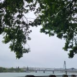 Portland River Loop Trail, Oregon - 828 Reviews, Map | AllTrails