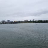 Portland River Loop Trail, Oregon - 828 Reviews, Map | AllTrails