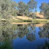 Lost Lake Nature Trail, California - 168 Reviews, Map | AllTrails