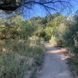 Lost Lake Nature Trail, California - 168 Reviews, Map | AllTrails
