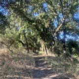 Lost Lake Nature Trail, California - 168 Reviews, Map | AllTrails