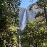 Sentinel Meadow Cook's Meadow Loop Trail, California - 3,670 Reviews ...