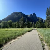 Sentinel Meadow Cook's Meadow Loop Trail, California - 3,670 Reviews ...