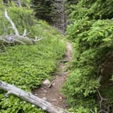 Middle Head Trail, Nova Scotia, Canada - 1,312 Reviews, Map | AllTrails