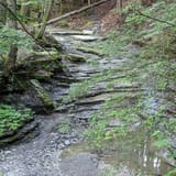 IBM Glen Loop, New York - 866 Reviews, Map | AllTrails
