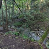 IBM Glen Loop, New York - 866 Reviews, Map | AllTrails