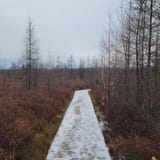 Mer Bleue Bog Trail, Ontario, Canada - 486 Reviews, Map | AllTrails