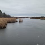 Mer Bleue Bog Trail, Ontario, Canada - 486 Reviews, Map | AllTrails