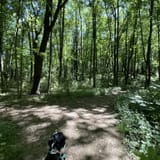 Sippo Lake Trail, Ohio - 720 Reviews, Map | AllTrails