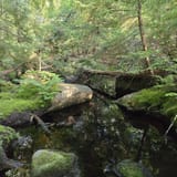 Catamount Hill Trail and One Mile Trail Loop, New Hampshire - 648 ...