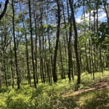 Paumanok Path, New York - 126 Reviews, Map | AllTrails