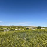 Castle Trail to Medicine Root Loop, South Dakota - 685 Reviews, Map ...