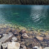 Boom Lake Trail, Alberta, Canada - 2,207 Reviews, Map | AllTrails