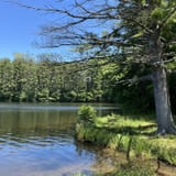 Gates Pond, Massachusetts - 1,234 Reviews, Map | AllTrails
