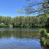 Gates Pond, Massachusetts - 1,234 Reviews, Map | AllTrails