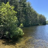 Gates Pond, Massachusetts - 1,234 Reviews, Map | AllTrails