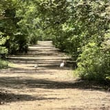 Sheldon Lake State Park Nature Loop, Texas - 245 Reviews, Map | AllTrails