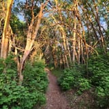 Yellow Fork Loop Trail, Utah - 889 Reviews, Map | AllTrails