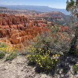 Bryce Point to Sunset Point Trail, Utah - 1,001 Reviews, Map | AllTrails