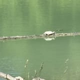 Midhurst Trail , Ontario, Canada - 1,544 Reviews, Map | AllTrails