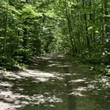 Midhurst Trail , Ontario, Canada - 1,544 Reviews, Map | AllTrails