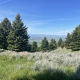 Sypes Canyon, Montana - 1,500 Reviews, Map | AllTrails