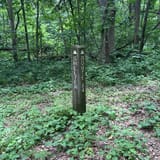 High Point Trail and Rock Top, Illinois - 183 Reviews, Map | AllTrails