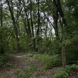 High Point Trail and Rock Top, Illinois - 183 Reviews, Map | AllTrails