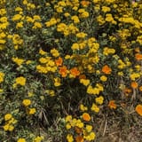 Point Buchon Trail, California - 608 Reviews, Map | AllTrails