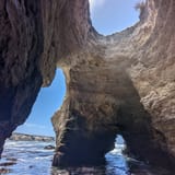 Point Buchon Trail, California - 608 Reviews, Map | AllTrails