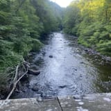 Bee Brook Loop, Connecticut - 1,050 Reviews, Map | AllTrails