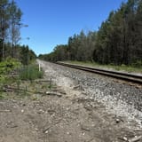 Midhurst Trail , Ontario, Canada - 1,544 Reviews, Map | AllTrails