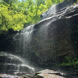 Hidden Falls Trail, South Carolina - 721 Reviews, Map | AllTrails