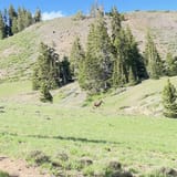 Skyline National Recreation Trail to Blue Lake, Utah - 60 Reviews, Map ...