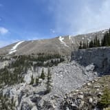 Grotto Mountain Trail, Alberta, Canada - 1,236 Reviews, Map | AllTrails