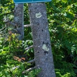 Mount Shaw and Black Snout, New Hampshire - 638 Reviews, Map | AllTrails