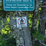 Mount Shaw and Black Snout, New Hampshire - 638 Reviews, Map | AllTrails