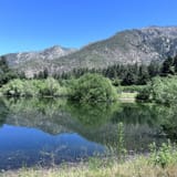 Oak Glen Preserve Trails, California - 792 Reviews, Map | AllTrails