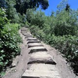 Oak Glen Preserve Trails, California - 792 Reviews, Map | AllTrails