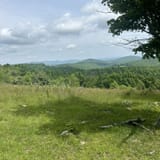 Black Ridge Trail, Virginia - 655 Reviews, Map | AllTrails