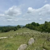Black Ridge Trail, Virginia - 655 Reviews, Map | AllTrails