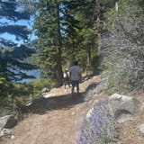 Emerald Point Trail, California - 1,460 Reviews, Map | AllTrails