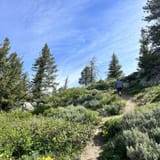 Mores Mountain Loop, Idaho - 509 Reviews, Map | AllTrails