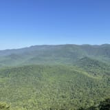 Looking Glass Rock Trail, North Carolina - 7,474 Reviews, Map | AllTrails