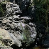 Reef Bay Trail, Saint John, US Virgin Islands - 1,096 Reviews, Map ...