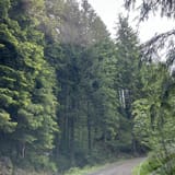 Natural Rock Arch Trail, Oregon - 219 Reviews, Map | AllTrails