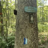 Tom Lowe Trail, Pennsylvania - 1,083 Reviews, Map | AllTrails