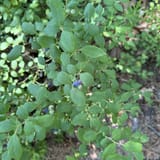 Batsto Lake Trail, New Jersey - 1,834 Reviews, Map | AllTrails